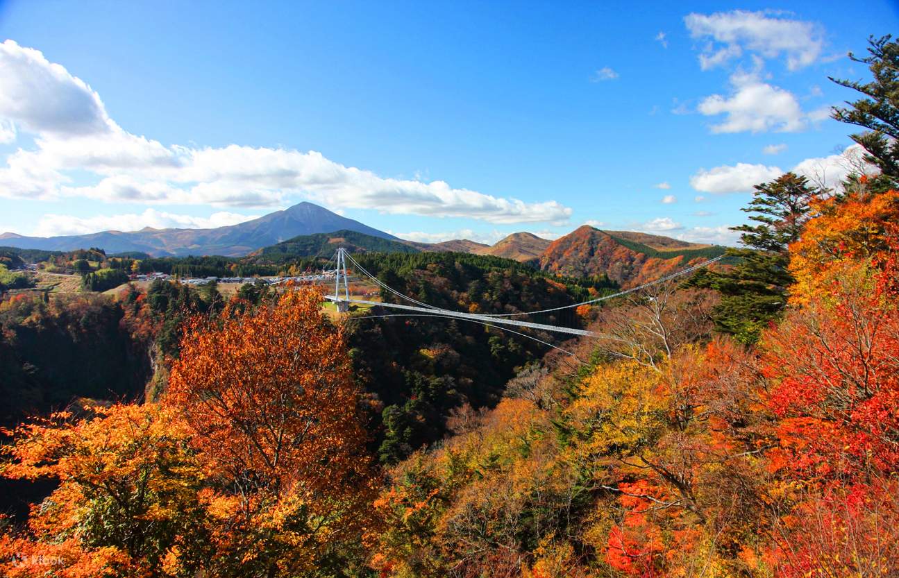 [Kyushu Autumn Special] Yabakei & Kokonoe Yume Bridge from Fukuoka - Klook
